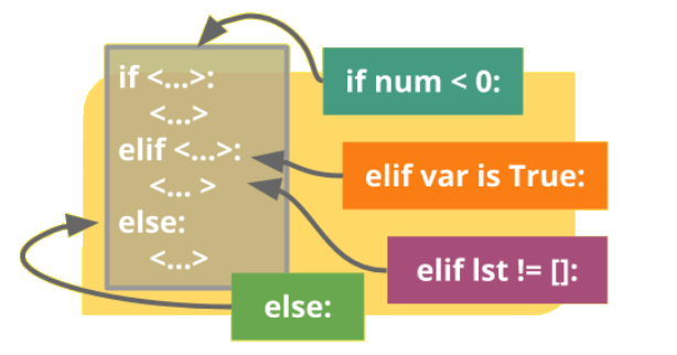 7 клас Python Алгоритми з розгалуженням Тест на 14 запитань Інформатика