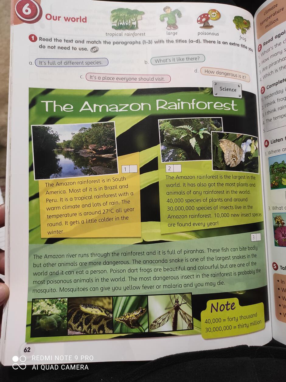 The Amazon rainforest | Урок на 1 завдання. Англійська мова