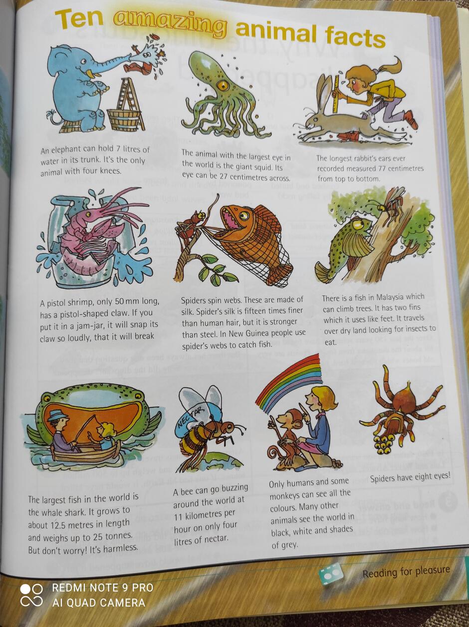 Ten amazing animals facts | Урок на 1 завдання. Англійська мова