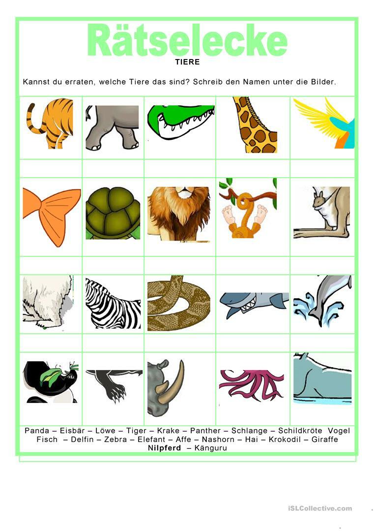 Die Wildtiere | Урок на 1 завдання. Німецька мова