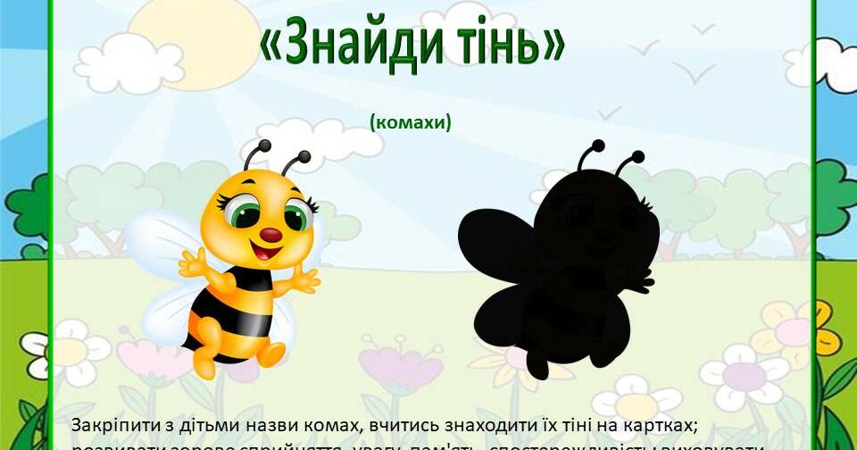 Дидактична гра «Знайди тінь комахи Ілюстрації Дошкілля