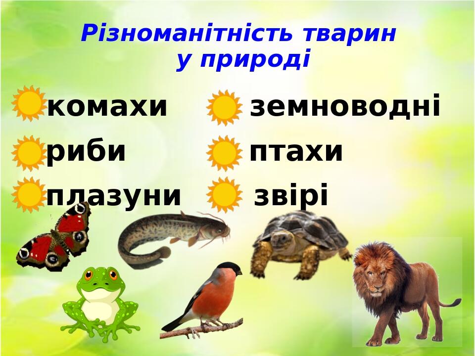 Презентація Тварини в природі до уроку Я досліджую світ 2 клас за підручником Н М Бібік