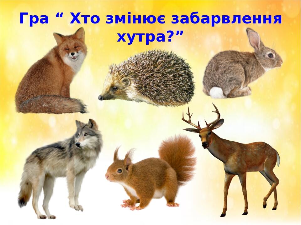Презентація " Тварини восени " до уроку Я досліджую світ ( 2 клас, за ...