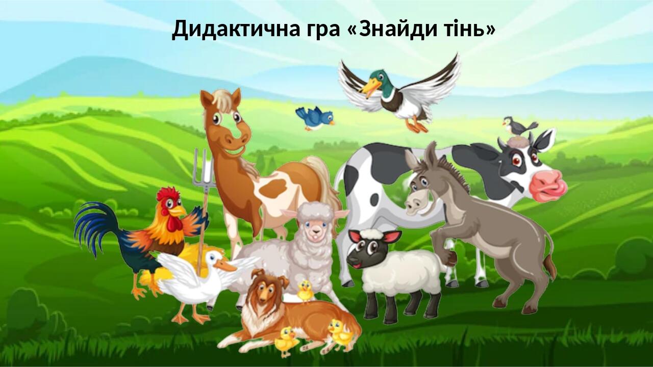 Дидактична гра «Знайди тінь Презентація Дошкільна освіта