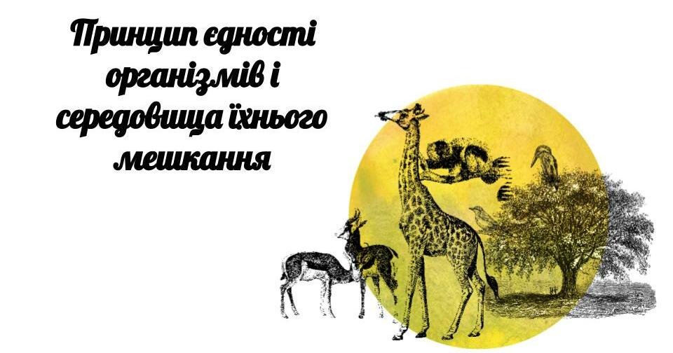 Принцип єдності організмів і середовища їхнього мешкання Презентація Біологія