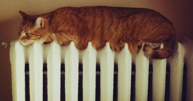 Авторизація