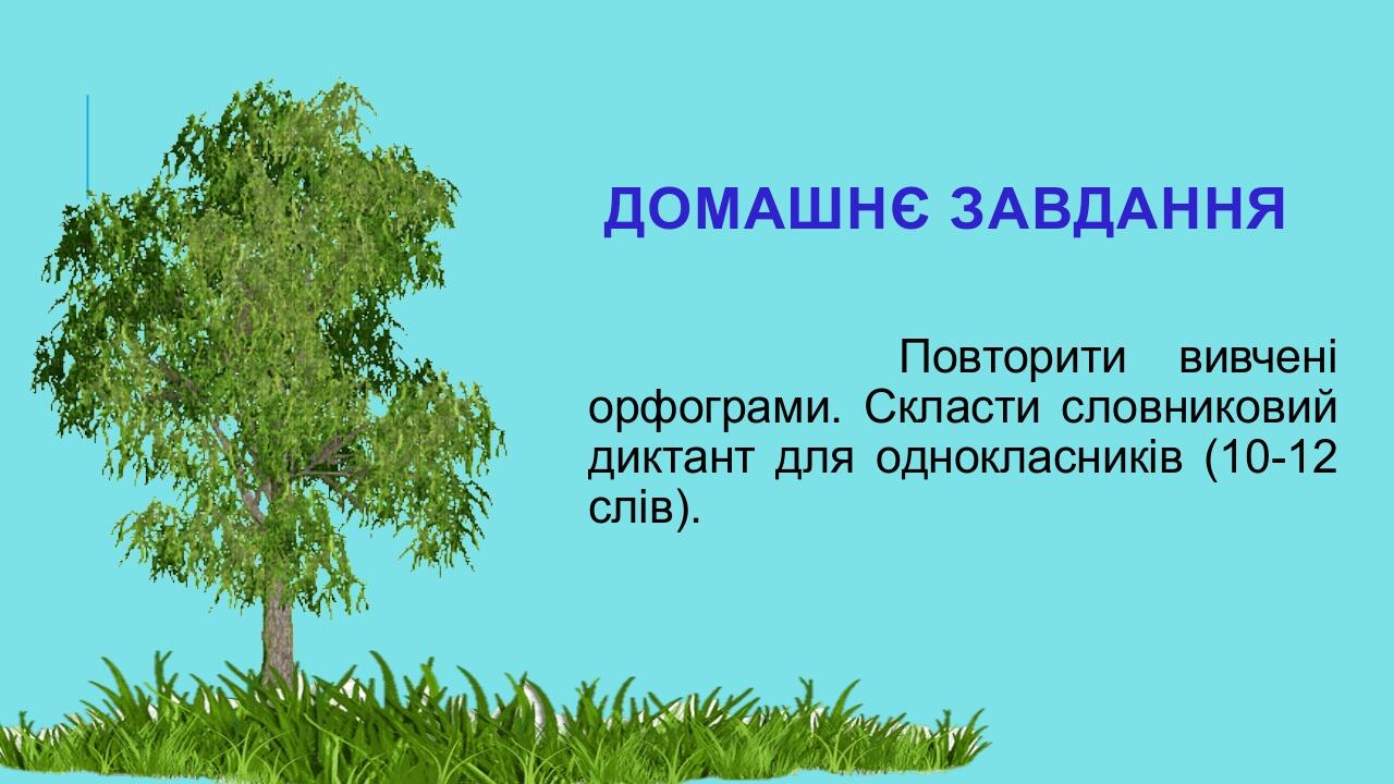 Презентація Навчальний диктант 5 клас НУШ Презентація Українська