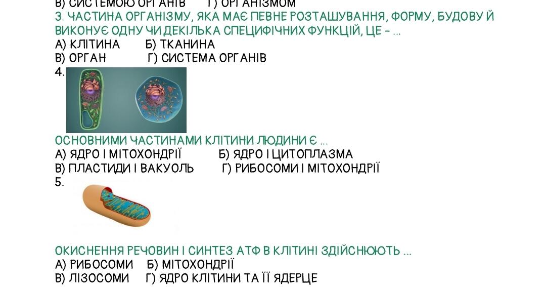 Збірник тестових завдань для 8 класу. | . Біологія