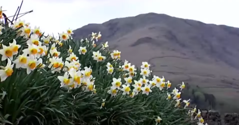 British landscapes ( Solutions Pre-Intermediate) | Тест на 6 запитань. Англійська мова